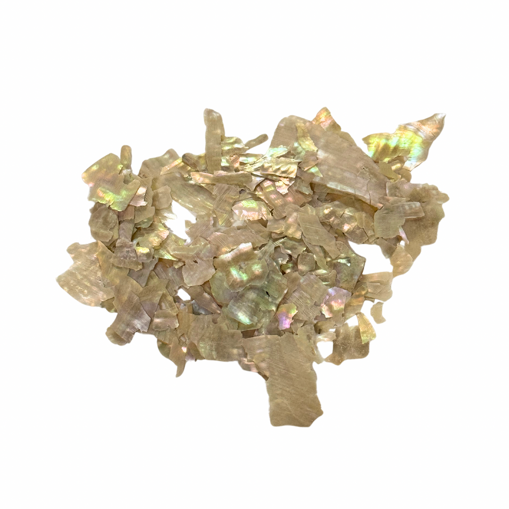 Concha Nácar Nude– PoliShop Nail Art